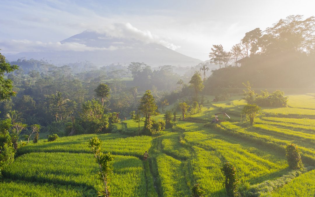 Riksja Travel | Individuele rondreizen op maat