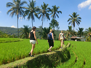 Het Javaanse leven | Oost Java reis van Riksja Indonesië