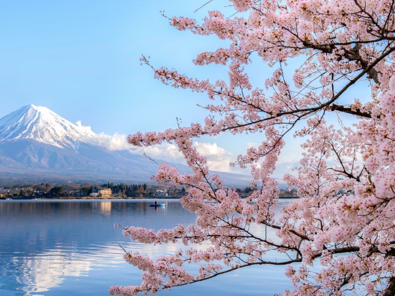 Klimaat & beste reistijd Japan » Rondreizen | Riksja Travel