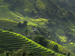 Top 4 gebieden met de allermooiste rijstvelden van Vietnam - Vietnam