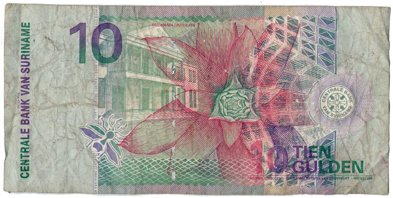 Geld Suriname » Rondreizen | Riksja Travel