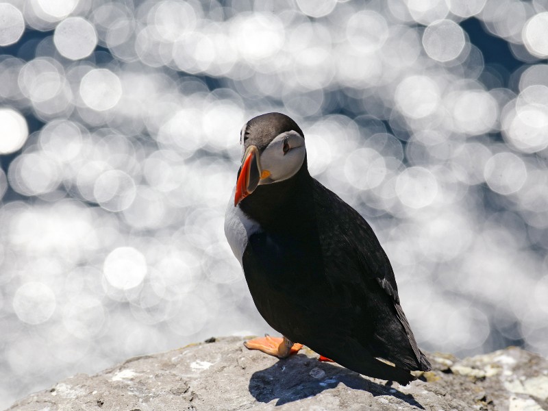 Ierland Blog » Rondreizen | Riksja Travel